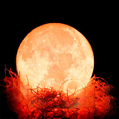 Factory supply new 2018 Creative 3D led Lights 3D Print Moon Light with kinds of size supplier