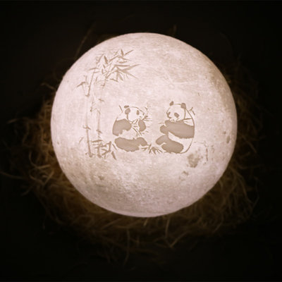 new 2018 hottest Creative 3D led Moon Lights , Customized pattern 3D Print Moon night Light with kinds of size supplier