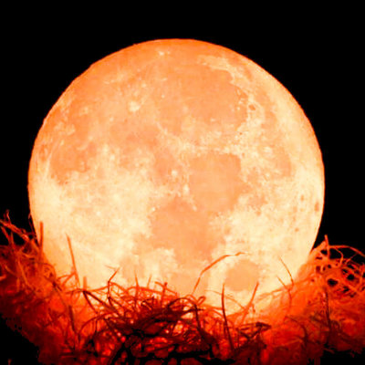 2018 Novelty Craft 3D led moon light, hot selling led light 3D Print Moon light night light supplier