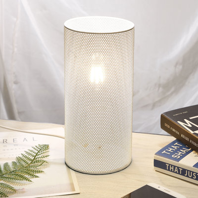 2018 Newest Cylinder iron mesh table lamp supplier