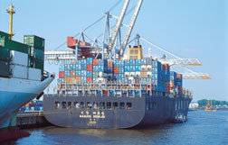 Guangzhou To Dunkerque Sea Shipping Forwarder Services BY Container