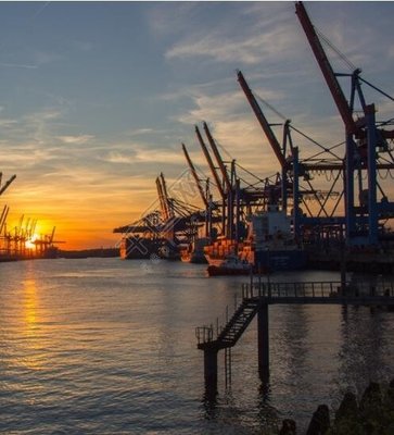 Canadian Sea Freight Shipping Forwarder Door To Door Service  from Shanghai/Tianjin/Qingdao/Dalian/Ningbo to Canada