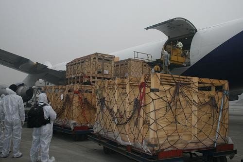 International Shipping Forwarder Freight Forwarding Services Between China / Hongkong And Europe Greatlink Logistics