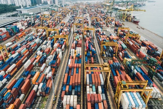 FCL LCL Shipping Forwarder Ocean Services To France / Container Forwarding Services