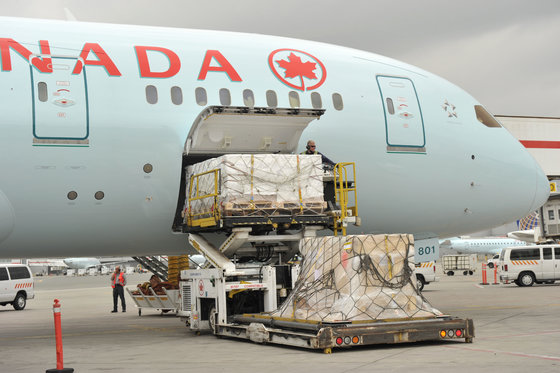 China to Munich Airport Import Freight Shipping Forwarder FCL & LCL Every Day