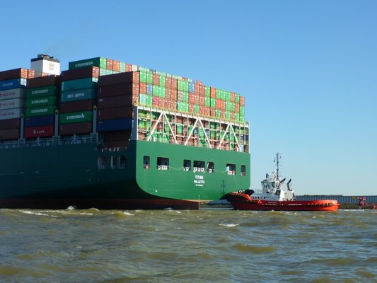 FCL , LCL International Shipping Forwarder Sea Routes Ocean Project Logistics For Australia