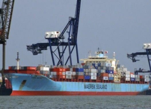 The Best Ocean Freight From Shenzhen / Xiamen / Ningbo / Foshan / Lianyungang To New York
