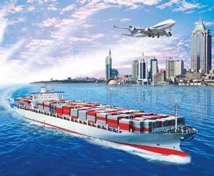 Professional China  Local Forwarder Transport Services to Norfolk,VA