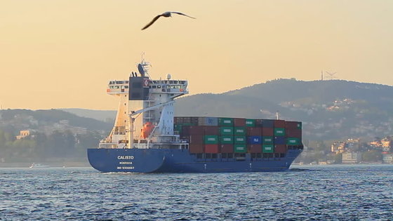 Great Link Ocean Cargo Shipping for Shenzhen / Huangpu / Shanghai / Nansha to Melbourne