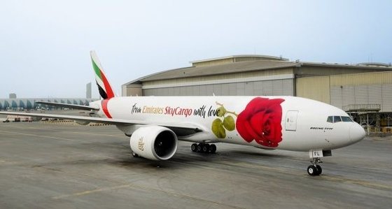 Door to Door Air Cargo Shipping Services from China to JFK , Airport Cargo Services