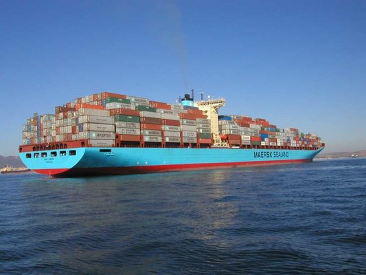 Professional Sea Freight Shipping Forwarder Services Guangzhou / Qingdao to New York
