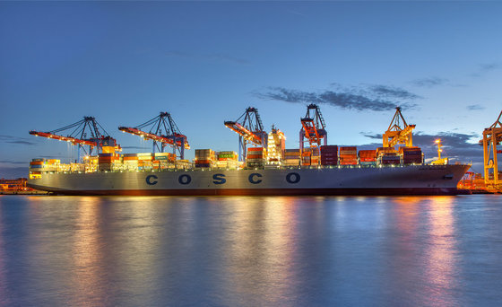 International Cargo Sea Freight Shipping Forwarder Forwarding Services / Freight Delivery Service