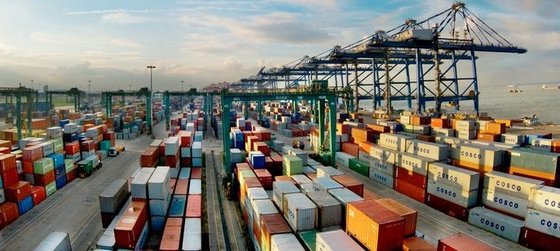 Reliable Cargo Sea Freight Shipping Forwarder Forwarding Services Fcl And Lcl To England / UK