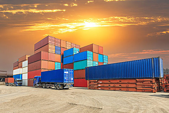 Door To Door Sea Freight Shipping Forwarder Export Forwarding To Jermany  , Oceanic Shipping Services