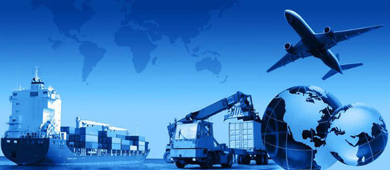 International Shipping Forwarder From Shenzhen / Ningbo / Shanghai / Tianjin To Franch