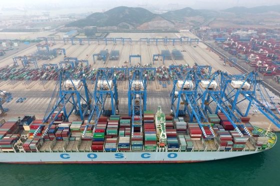 International Sea Routes Shipping Forwarder Container from China to Port of Antwerp