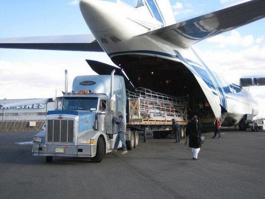 Professional Air Shipping from Shenzhen/Hongkong/Shanghai/Beijing/Guangzhou to Los Angeles