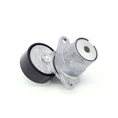 06K 903 133 A Audi Engine Parts Adjustable Metal Timing Belt Tensioner Pulley for Audi A4L supplier