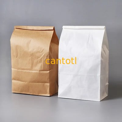 Custom Recycled Brown Paper Bag Kraft Paper Bag with Logo Printed