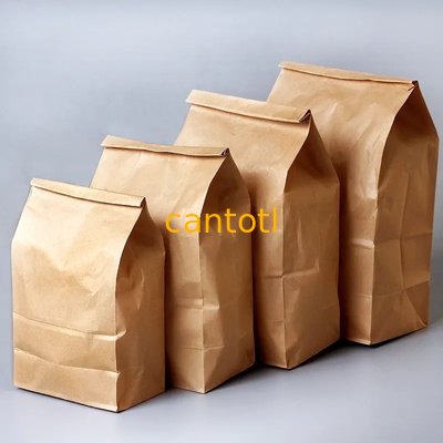 Custom Recycled Brown Paper Bag Kraft Paper Bag with Logo Printed