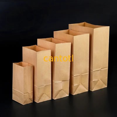 Custom Recycled Brown Paper Bag Kraft Paper Bag with Logo Printed