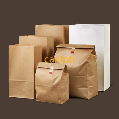 Custom Recycled Brown Paper Bag Kraft Paper Bag with Logo Printed