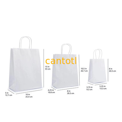 White Basics Kraft Paper Bags for applying to different Scene