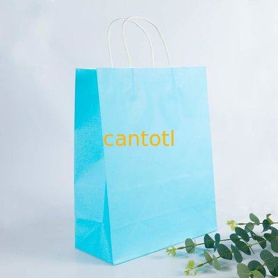 Environmental  Colorful  Large Paper Gift Bags Kraft Paper Bags for Birthday Treat Bag, Goodie Bag, Party Bag and More