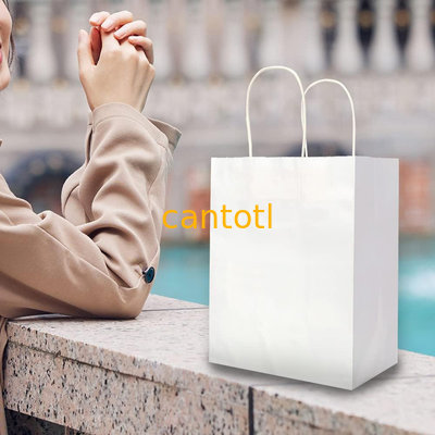 Eco-friendly Rugged Kraft Bags with Handles for Every Occasion