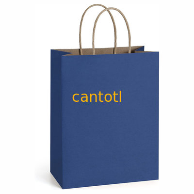 Recycled Eco-friendly Gift Bags Kraft Paper Bags with Handle