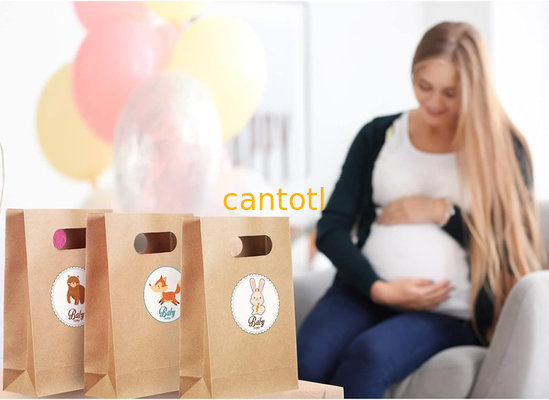 Brown Paper Gift Bags Birthday Party Favor Bags Gift Wrap Bags Kraft Paper Bags with Handle