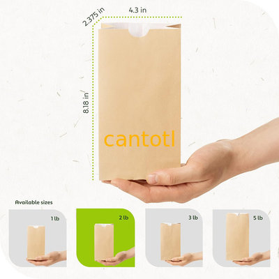 Natural Material Biodegradable Various Size Kraft Paper Bags