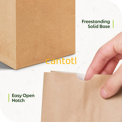 Natural Material Biodegradable Various Size Kraft Paper Bags