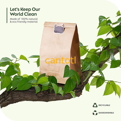 Natural Material Biodegradable Various Size Kraft Paper Bags