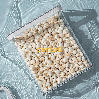 Modern Style Large Capacity Dry Airtight Food Container Plastic Sealed Jar for Kitchen