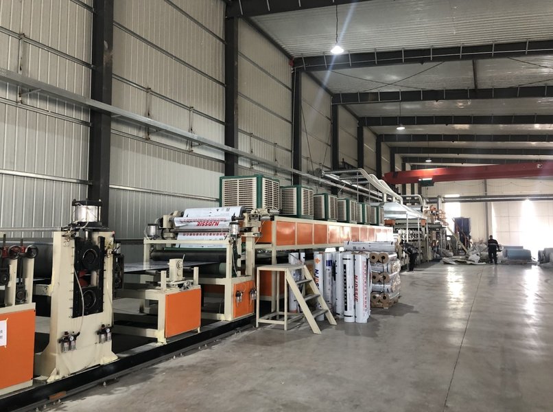 China Shandong Maikesen New Material Co., Ltd. company profile