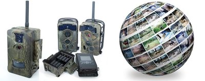 Zhuhai Ltl Acorn Electronics Co., Ltd