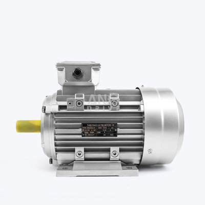 Asynchronous IEC Ie1 Ie2 Ie3 AC Three Phase Induction Electric Motor 0.5HP 0.75HP 1HP 2HP 3HP 4HP 5HP10HP 20HP 30HP