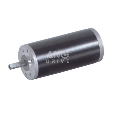 High Torque DC Electric Gear Motor/Electrical Micro DC Motor for Mobile Robots/Massager/Auto Door Lifting System Motor