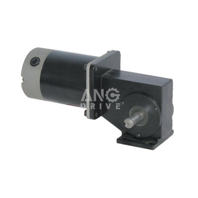High Torque DC Electric Gear Motor/Electrical Micro DC Motor for Mobile Robots/Massager/Auto Door Lifting System Motor