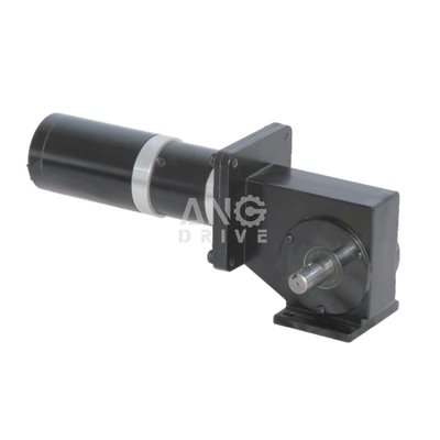 High Torque DC Electric Gear Motor/Electrical Micro DC Motor for Mobile Robots/Massager/Auto Door Lifting System Motor