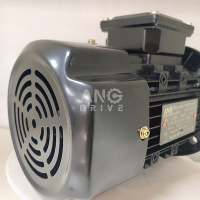 0.18kw 0.37kw 0.55kw 0.75kw 1.1kw 1.5kw 2.2kw 3kw 4kw 5.5kw 7.5kw Three Phase Induction AC Electric Pump Motor
