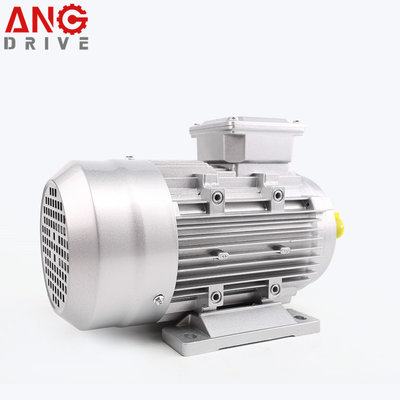 110v 230v Asynchronous Ac Electric Motor, Three Phase Electric Motor, Induction Electric Motor