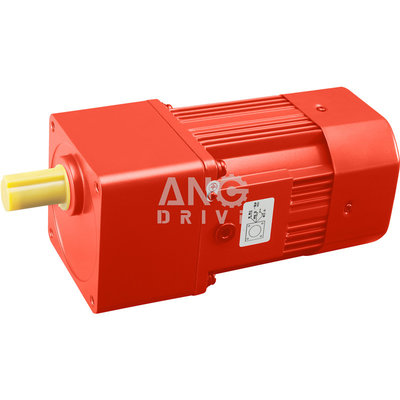Three 3 Phase AC 220V 380V Induction Motoredutor Reduction Gear Motor