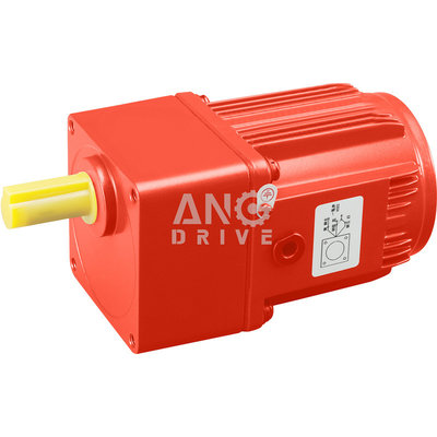 Three 3 Phase AC 220V 380V Induction Motoredutor Reduction Gear Motor