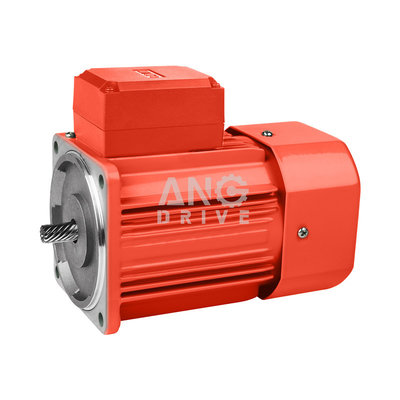 Three 3 Phase AC 220V 380V Induction Motoredutor Reduction Gear Motor