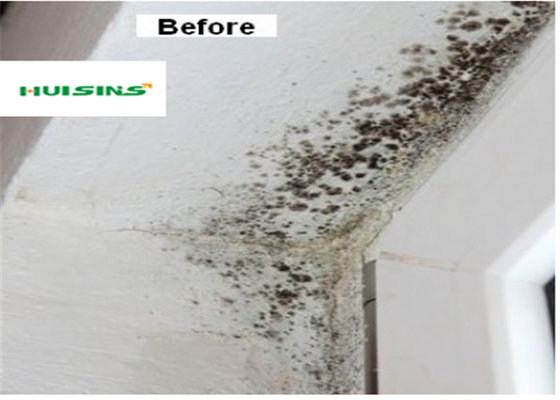 Anti Mould Water borne Water Based Interior Paint Humidity Resistant