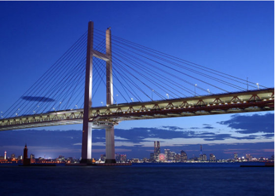 Best Stainless Steel Spray Construction Coating Protection Panit For Bridge