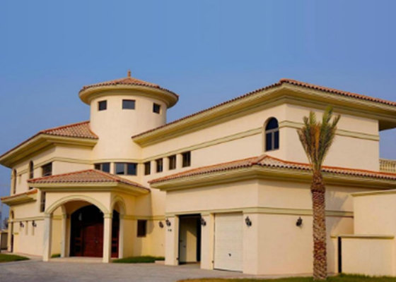 Solvent-based Exterior Wall Paint , Anti Corrosion Concrete Wall Paint