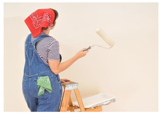 Bright Colored Water Based Interior Paint , Brush Interior House Painting